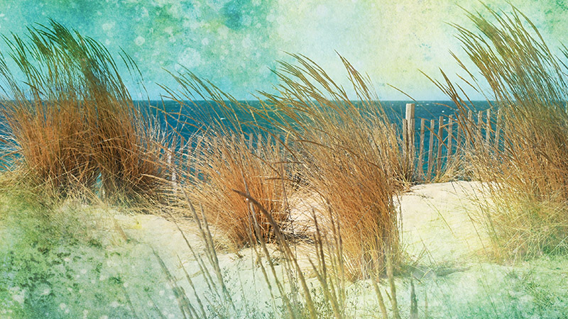 Meet the artist - Bob Tidy, photographer and digital artist - Tomorrow ...