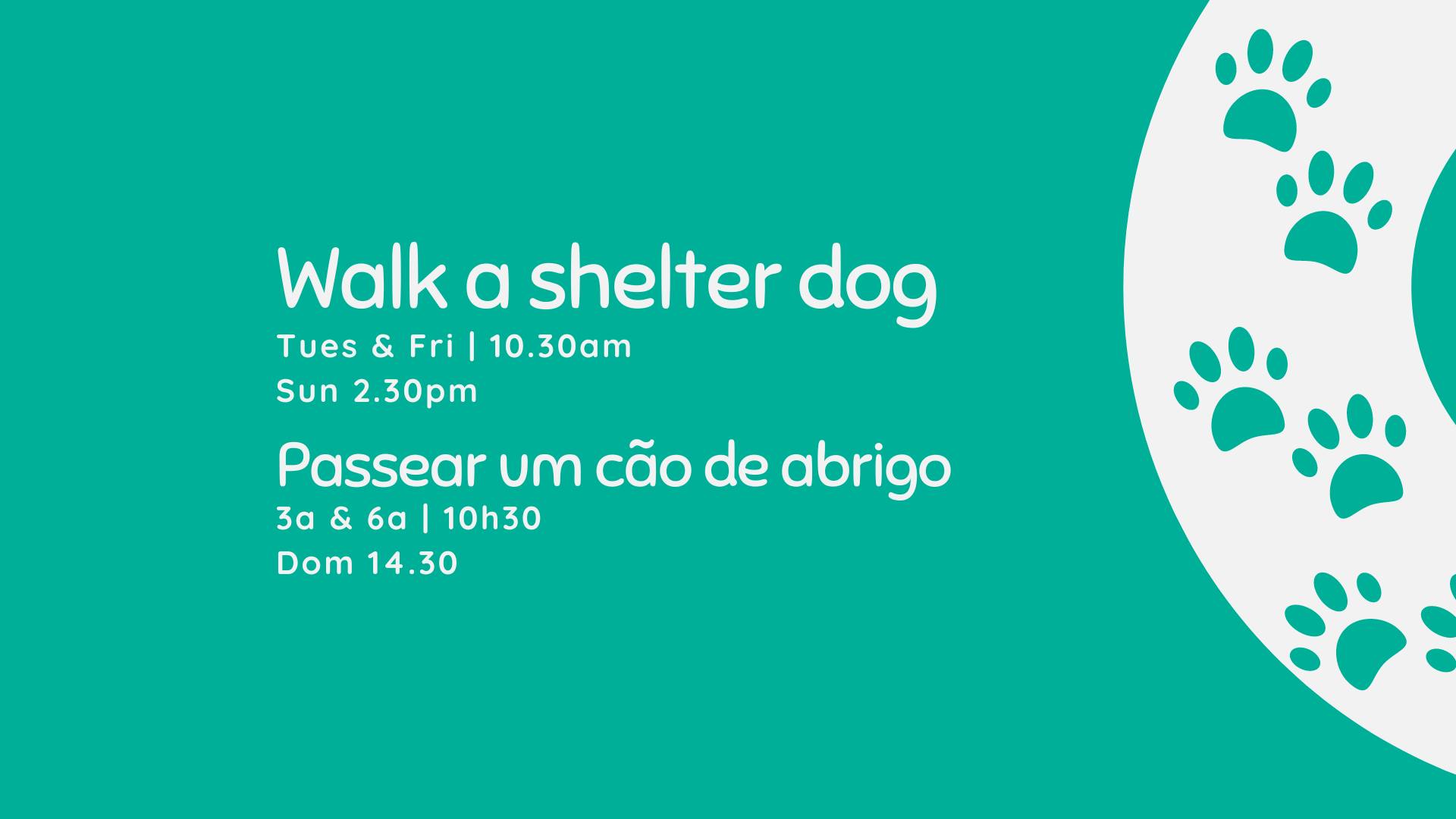 Walk A Shelter Dog Tomorrow Magazine walk-a-shelter-dog-tomorrow-magazine