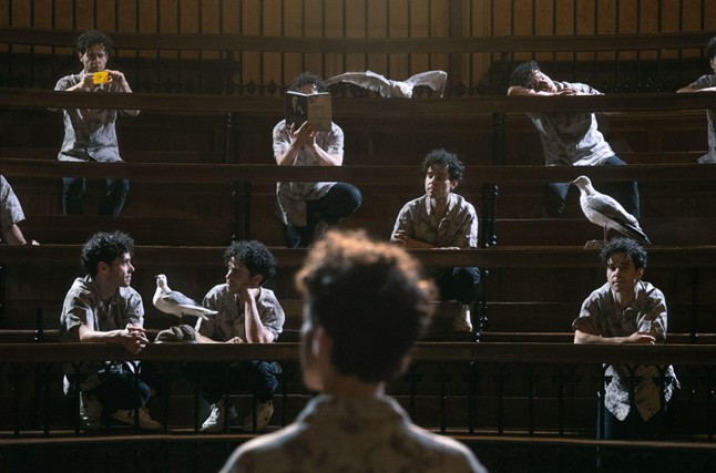 Just One More Seagull - Tomorrow Magazine